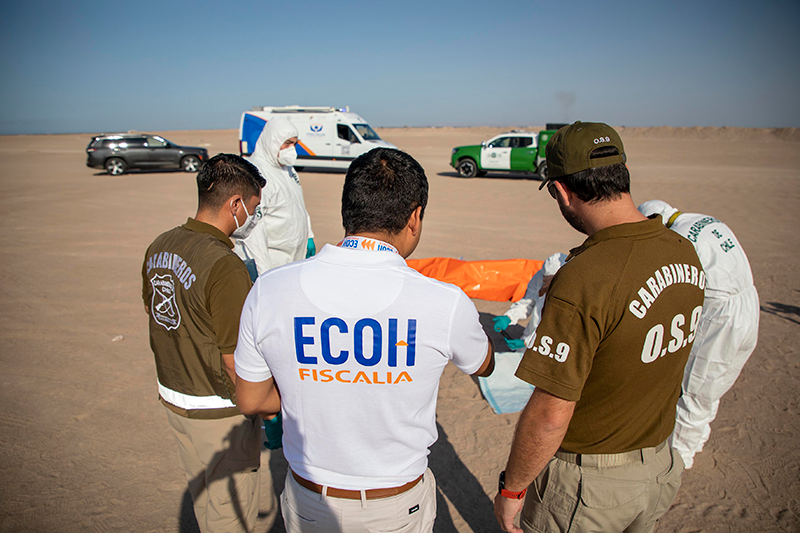 Equipos de Crimen Organizado y Homicidios ECOH | Web Fiscalía de Chile